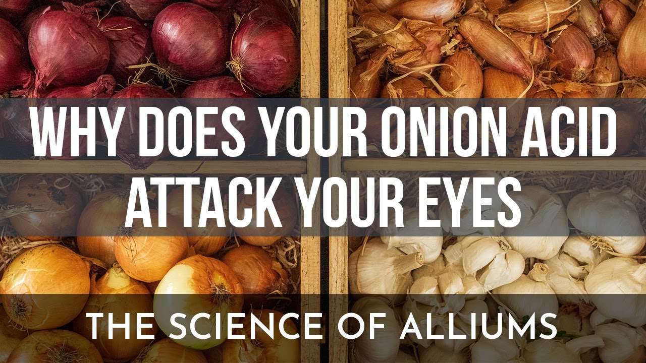 The Science of Onion and Garlic - YouTube