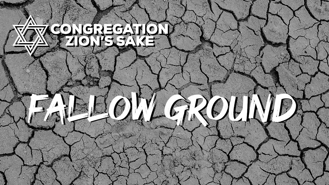 Fallow Ground | Shabbat 7/10/2020 - YouTube