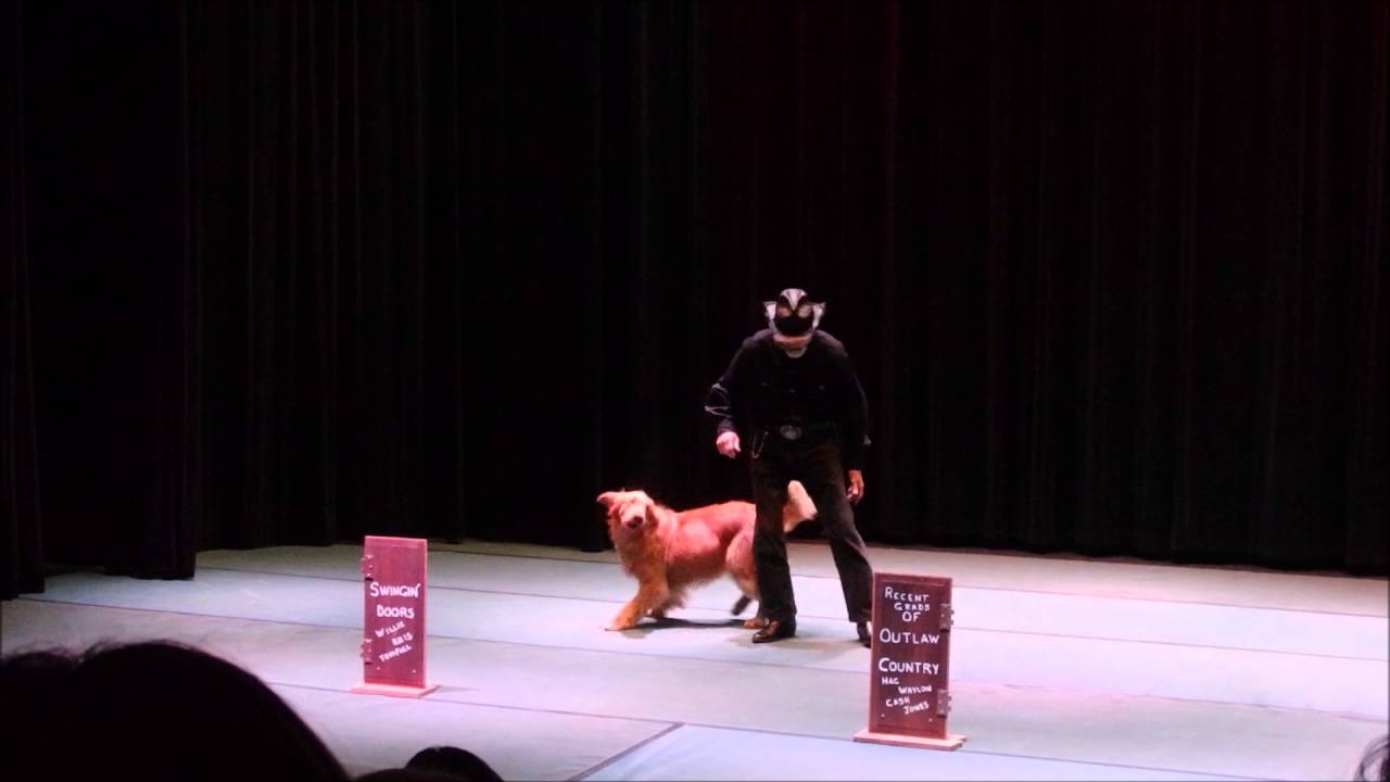 Routine by Ralph Orlando and “Smokey Bones” at the “Dancing Dogs” show ...