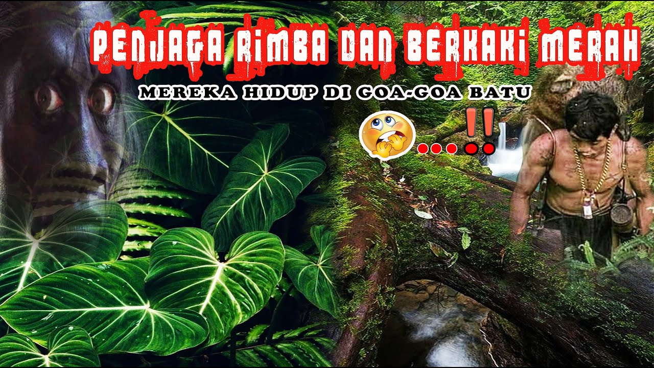 Suku Dayak Punan || Punan Batu || Punan Siau - YouTube