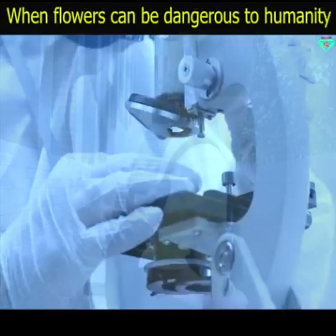 # flower problem #mitlesh - YouTube