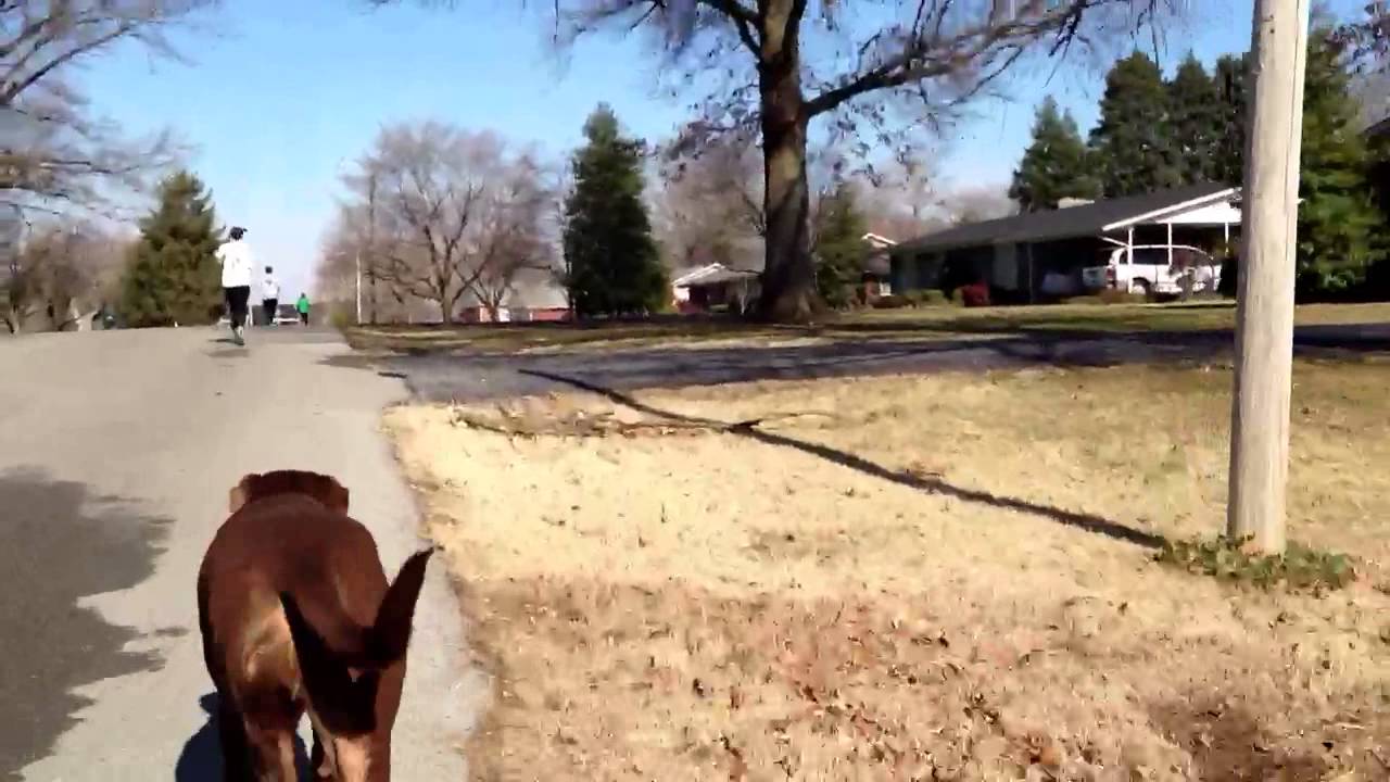 Running with Ralph - YouTube