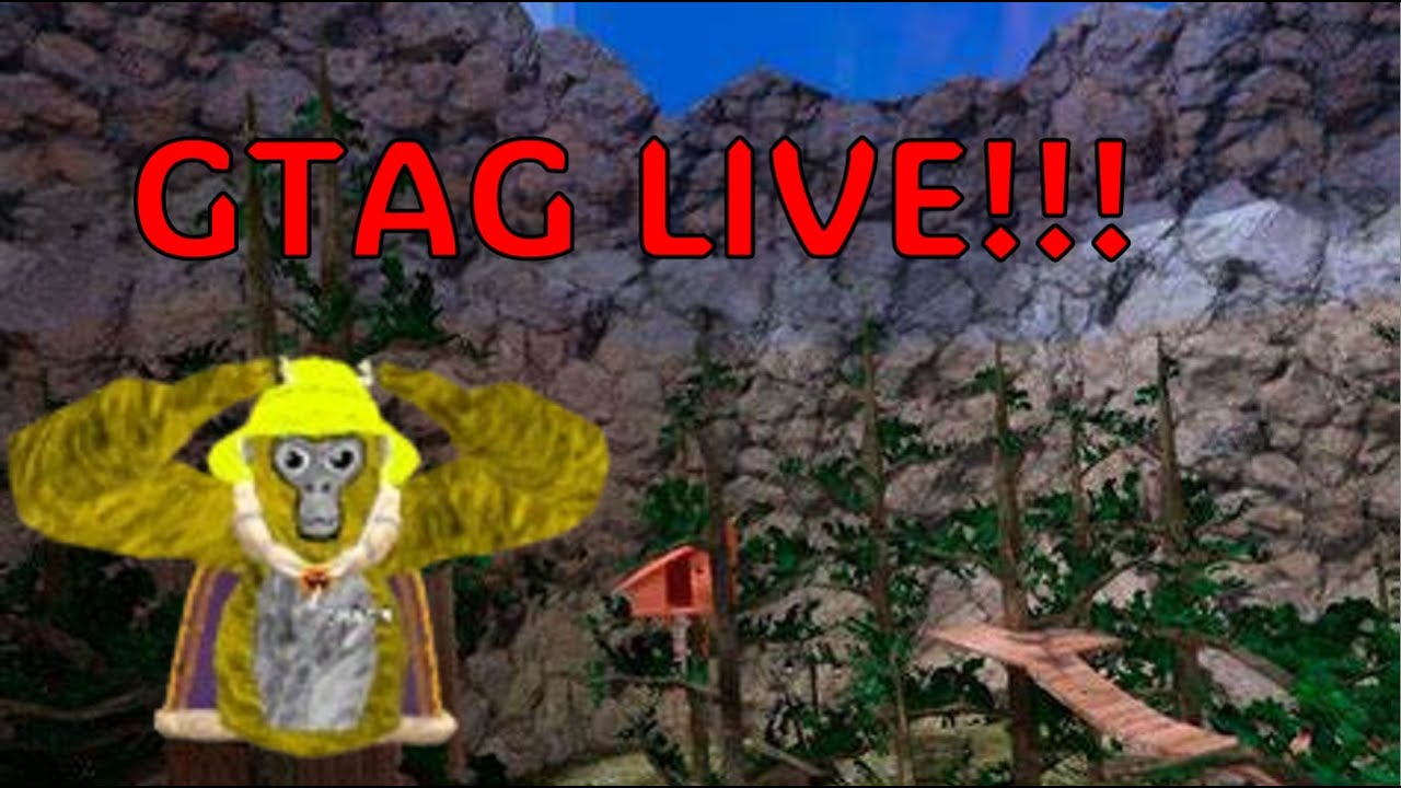 Gtag live (again) - YouTube