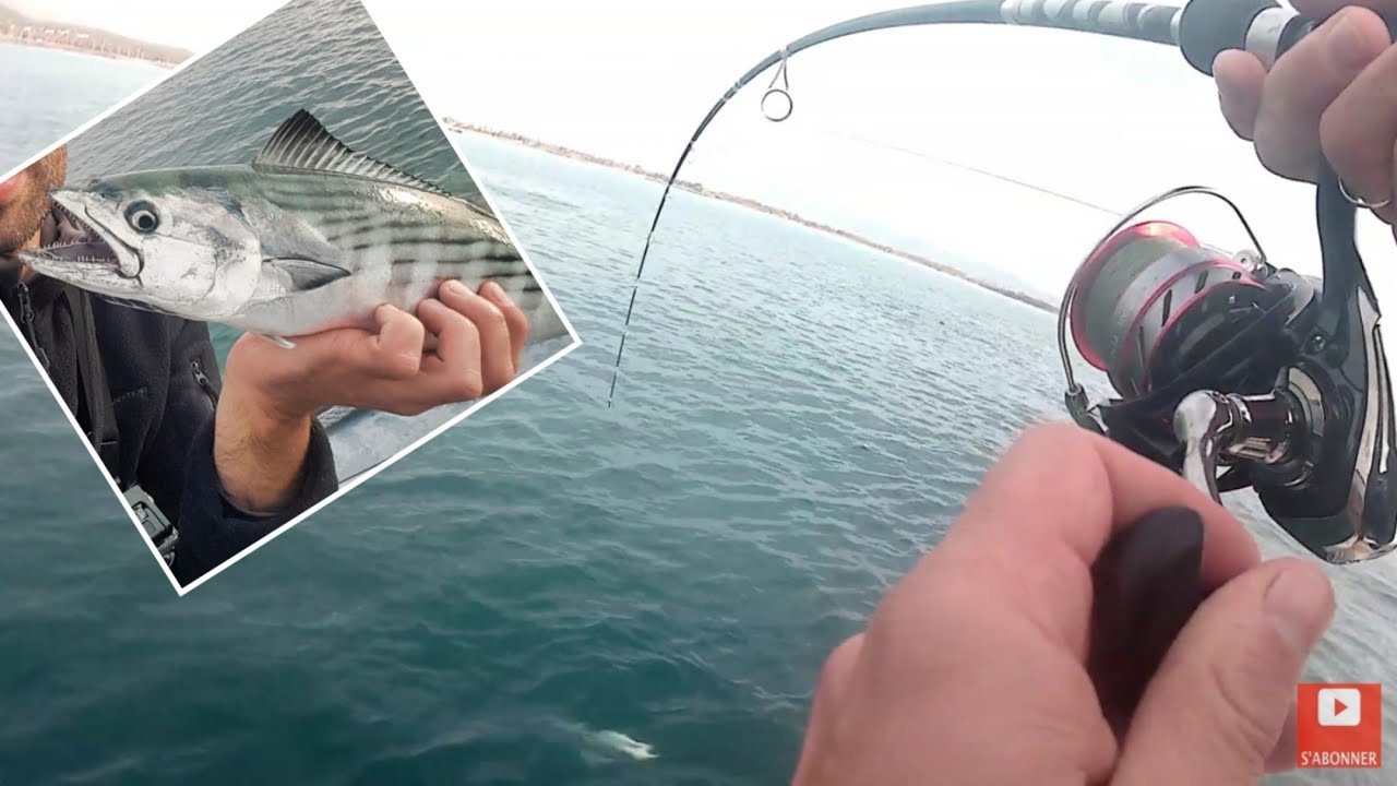 PELAMIDE, THONINE, MAQUEREAU : Pêche en mer sur chasse jig/leurre - sea ...