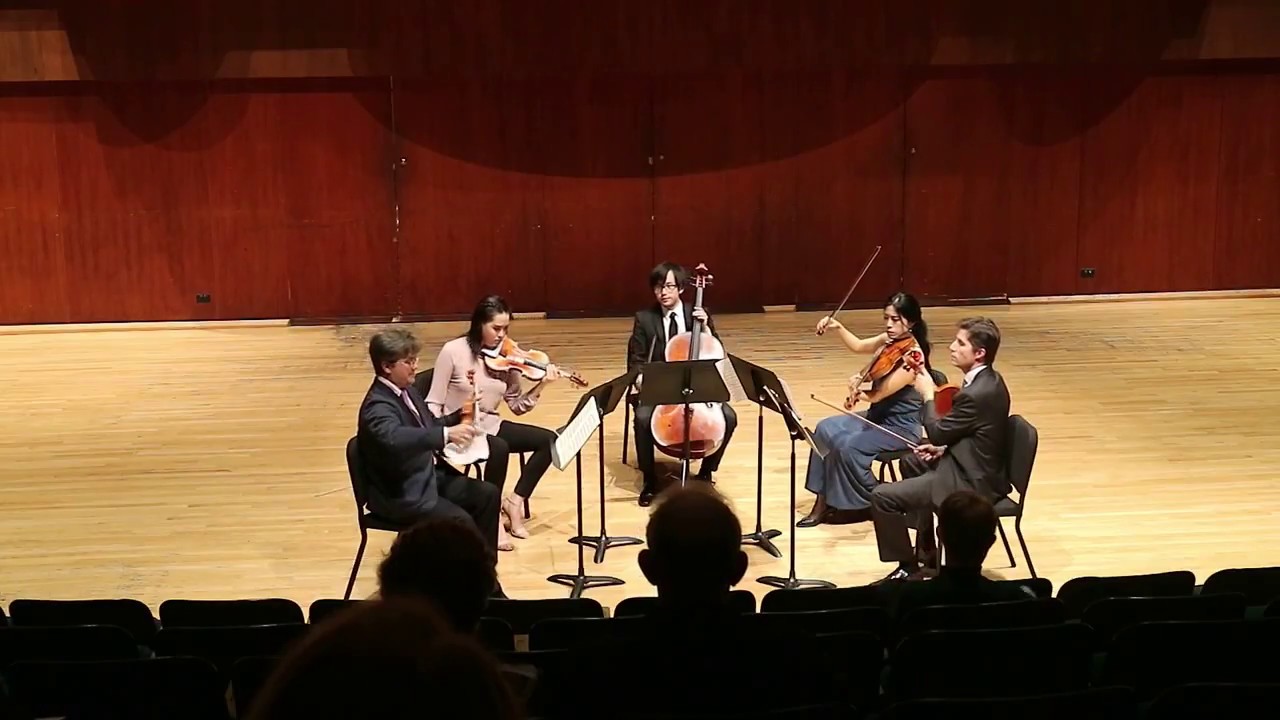 Beethoven-String Quintet Op.29 (I) - YouTube