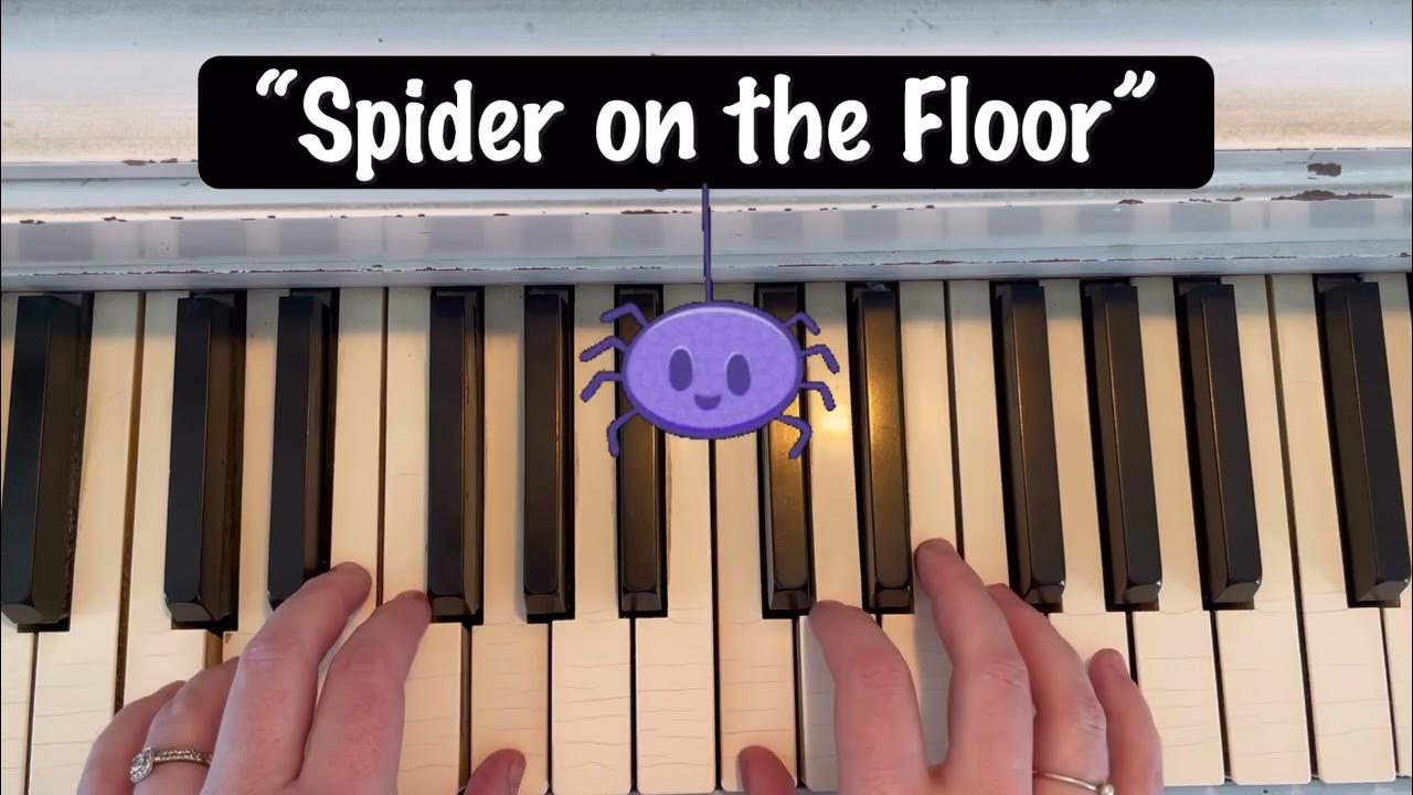 Spider on the Floor - YouTube