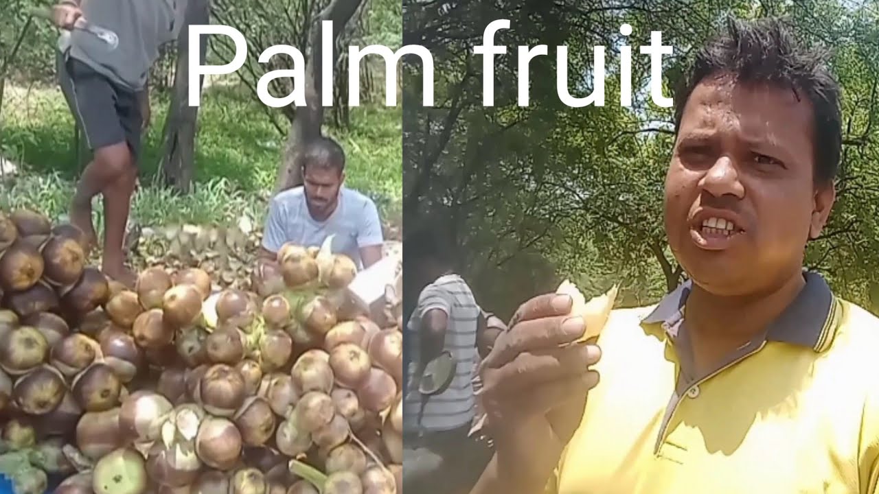Amazing palm fruit cutting skill in Hyderabad|palm fruit|Basant eating ...