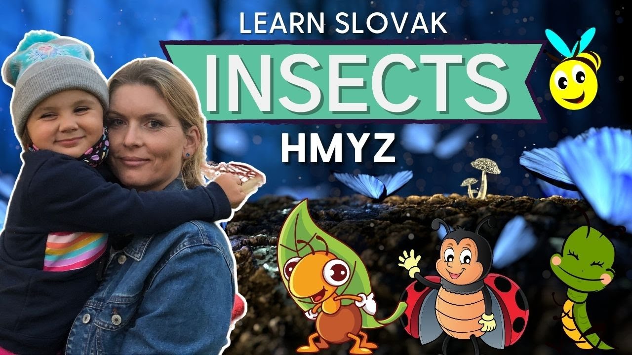 Learn Slovak - Insects (For kids of all ages) - YouTube