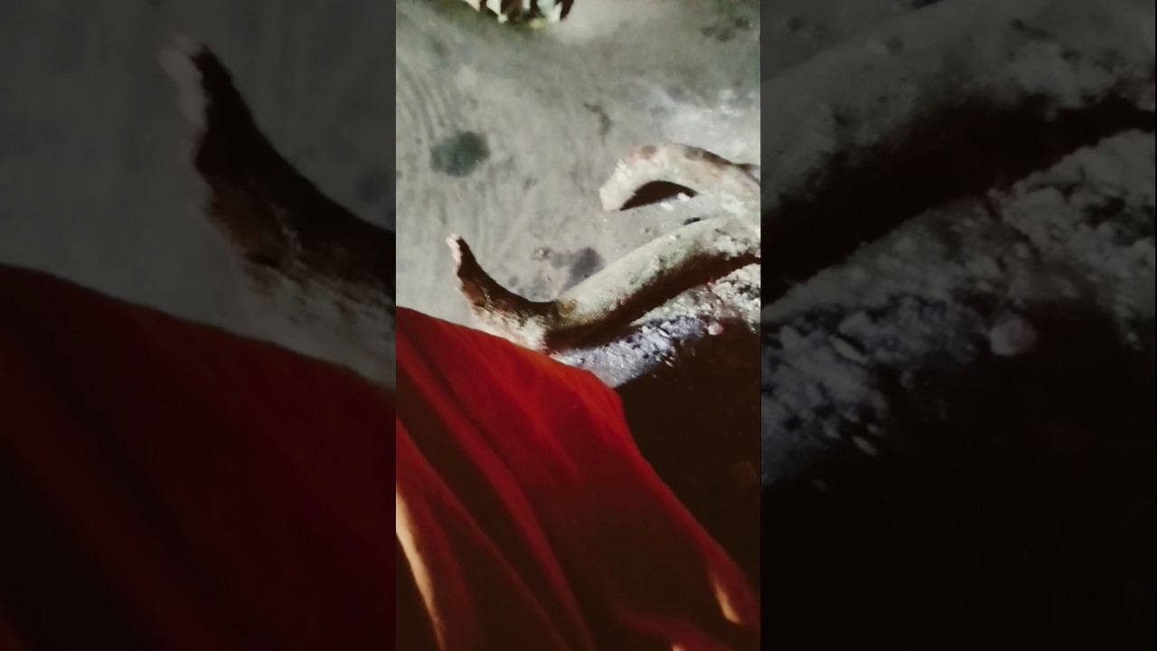 February 9, 2025 - YouTube