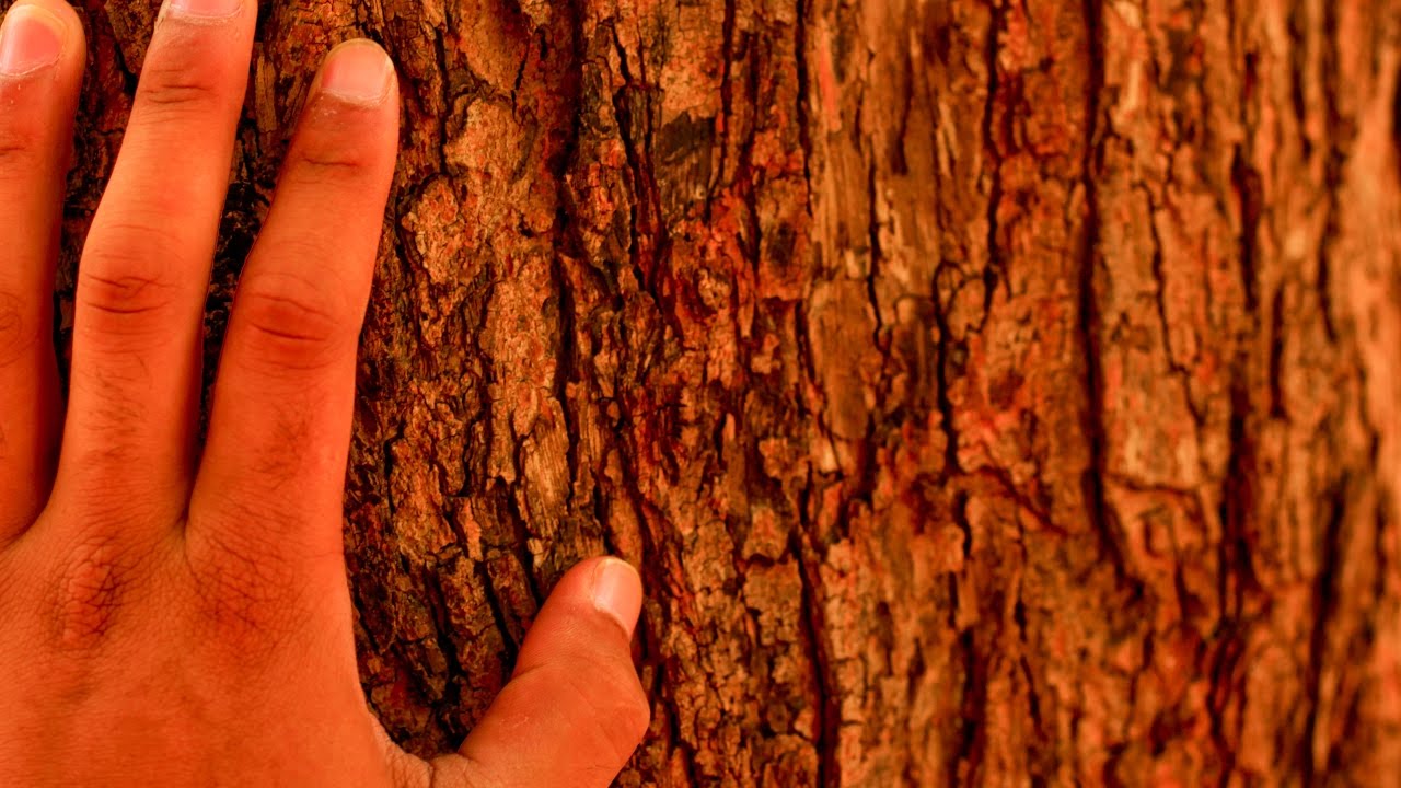 How to Touch Everything - YouTube