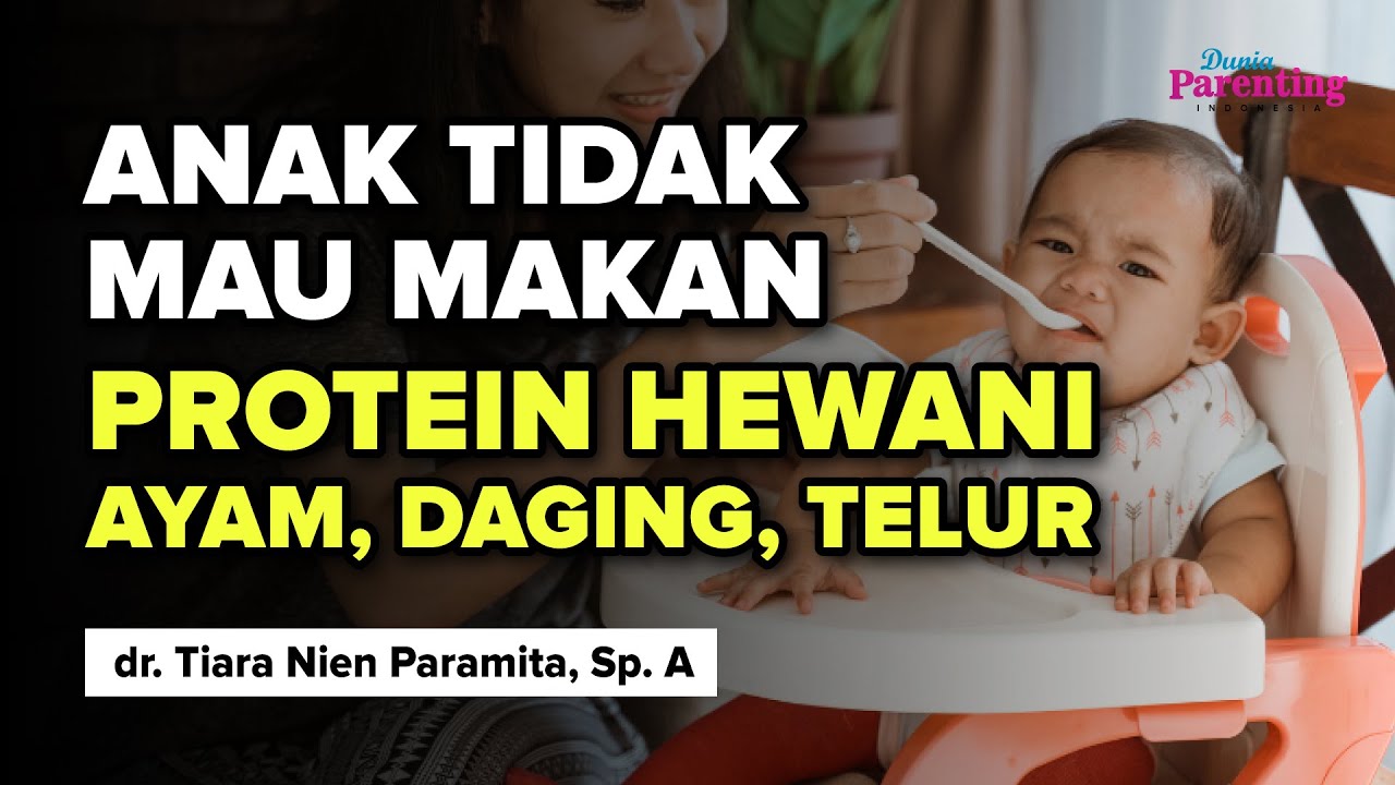 Tips Anak Tidak Mau Makan Protein Hewani Daging Ayam Telur - YouTube