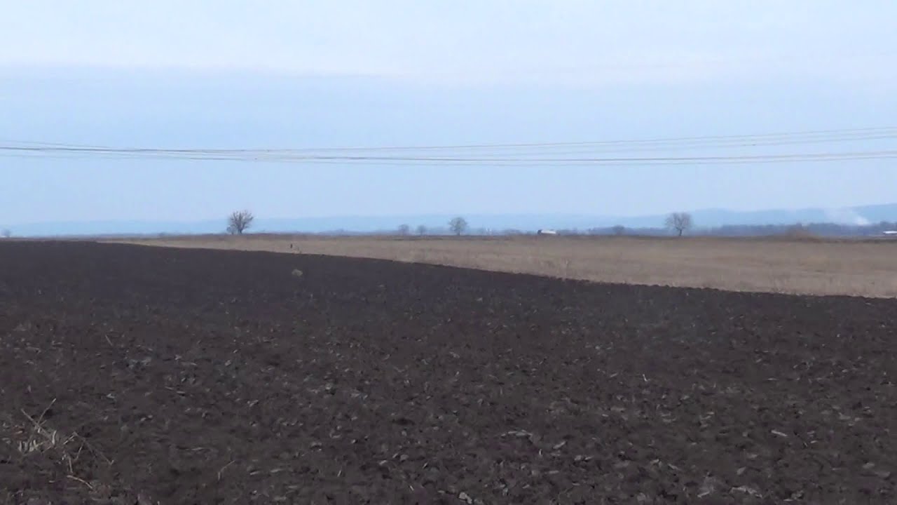 nino del rade savic - YouTube