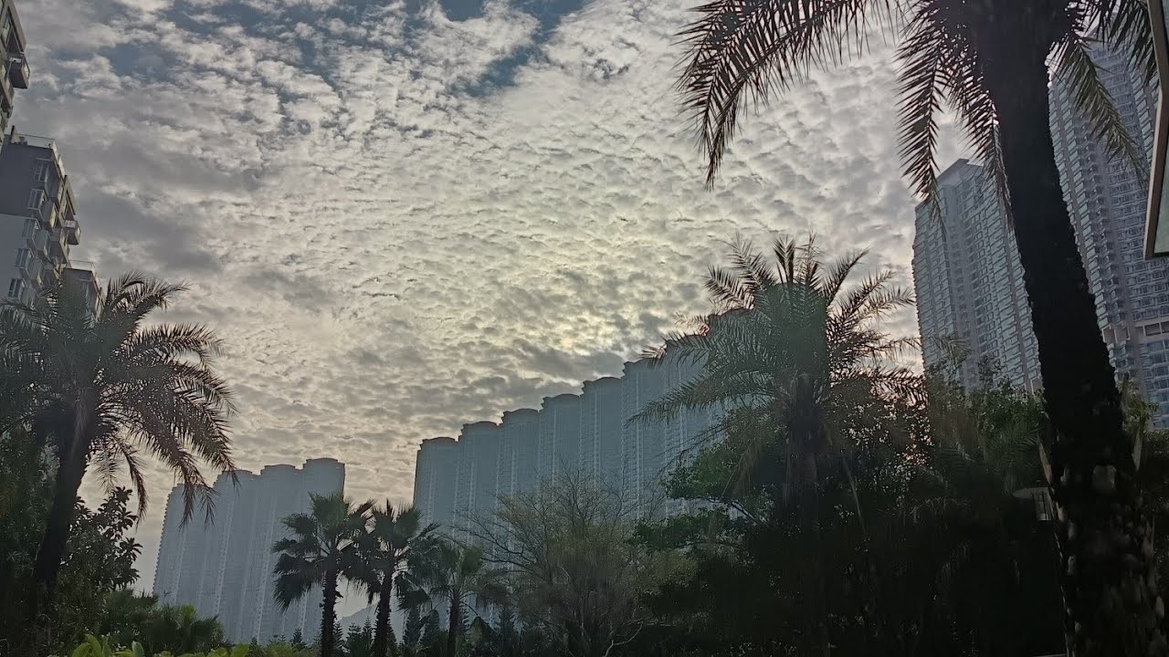 Willane ghee is live - YouTube