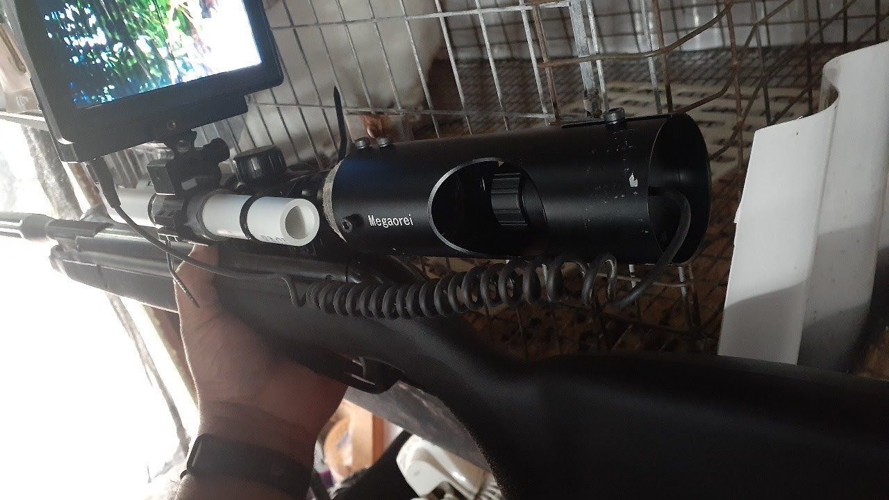 How To Shoot Rats In The Dark? Rat Hunting 7/9/2020 - YouTube