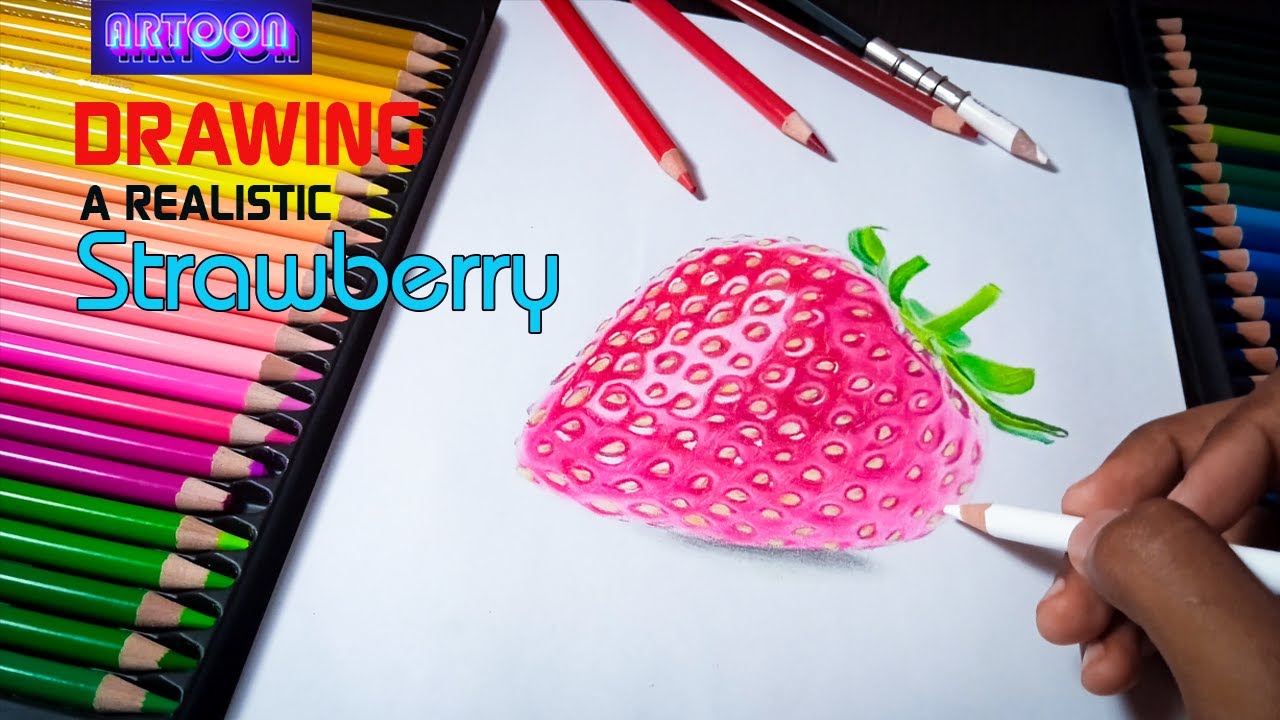 Drawing a strawberry | colour pencil drawing | Artoon | drawing ...