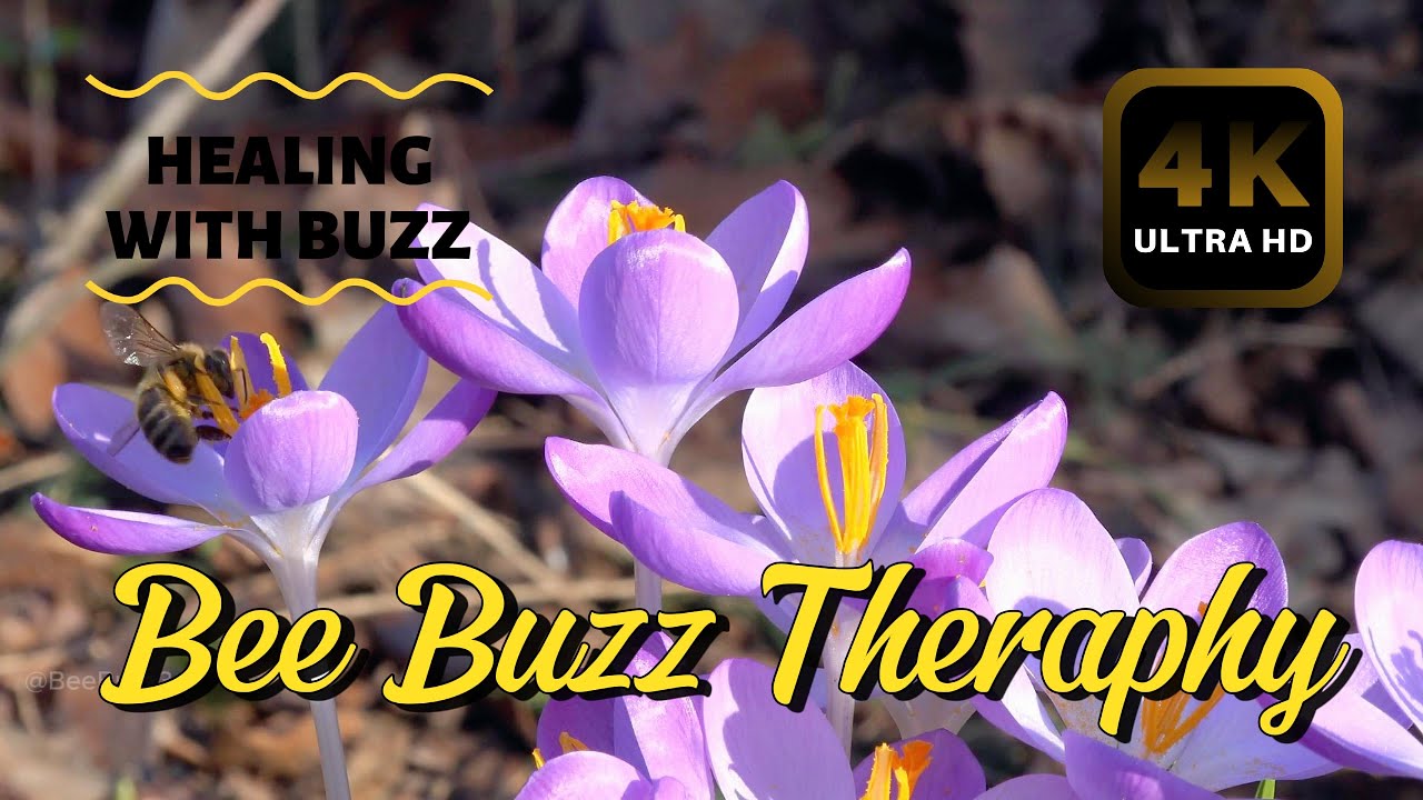 Bee Buzzing Therapy for Relaxation and Healing: Reduce Stress & Find ...