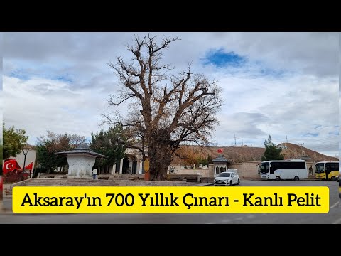 Aksaray'daki kanlı Moğol baskının tek şahidi - Kanlı Pelit #djineo  #tarih #anadolu #savaş #keşfet