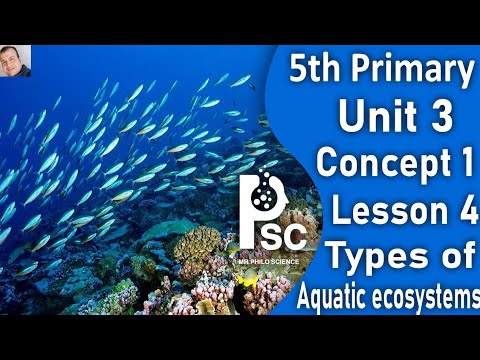 Science . Grade 5 . Unit 3 .Concept 1. Lesson4."Types of Aquatic ...