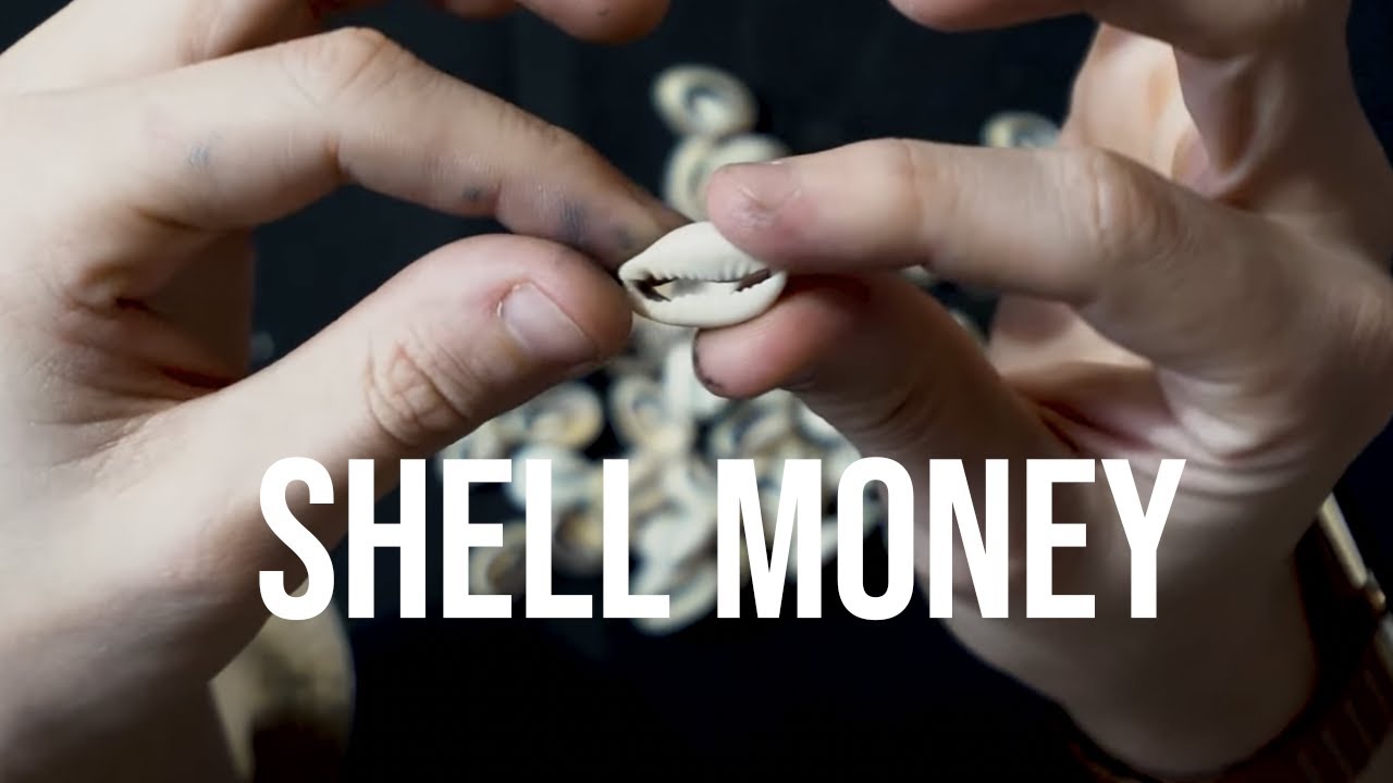 SHELL MONEY! - YouTube