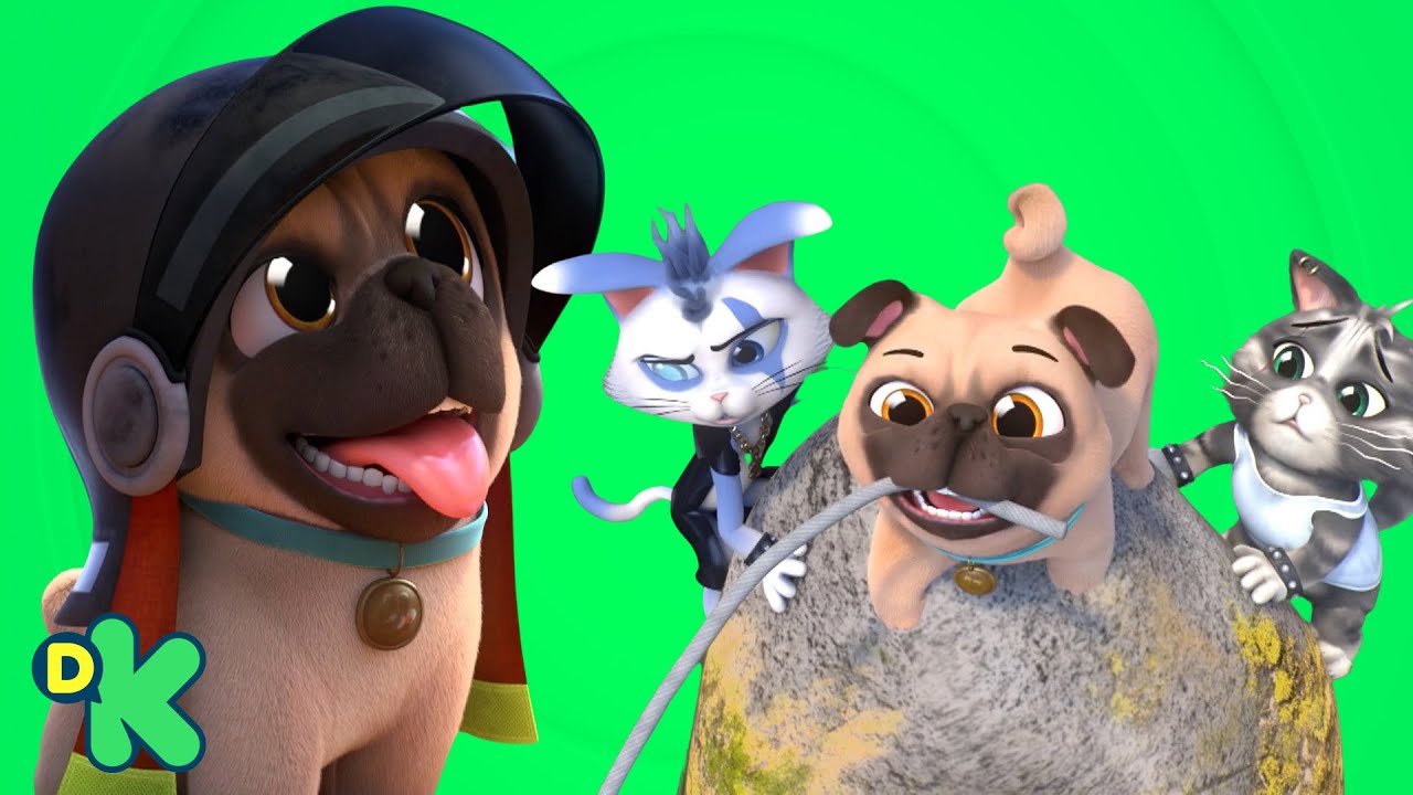 Terry, el perro valiente | 44 Gatos | Discovery Kids - YouTube