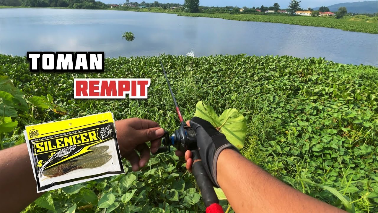 10|MANCING TOMAN SANTAI | SLX DC 71 XG | SHIMANO MAJESTIC. - YouTube