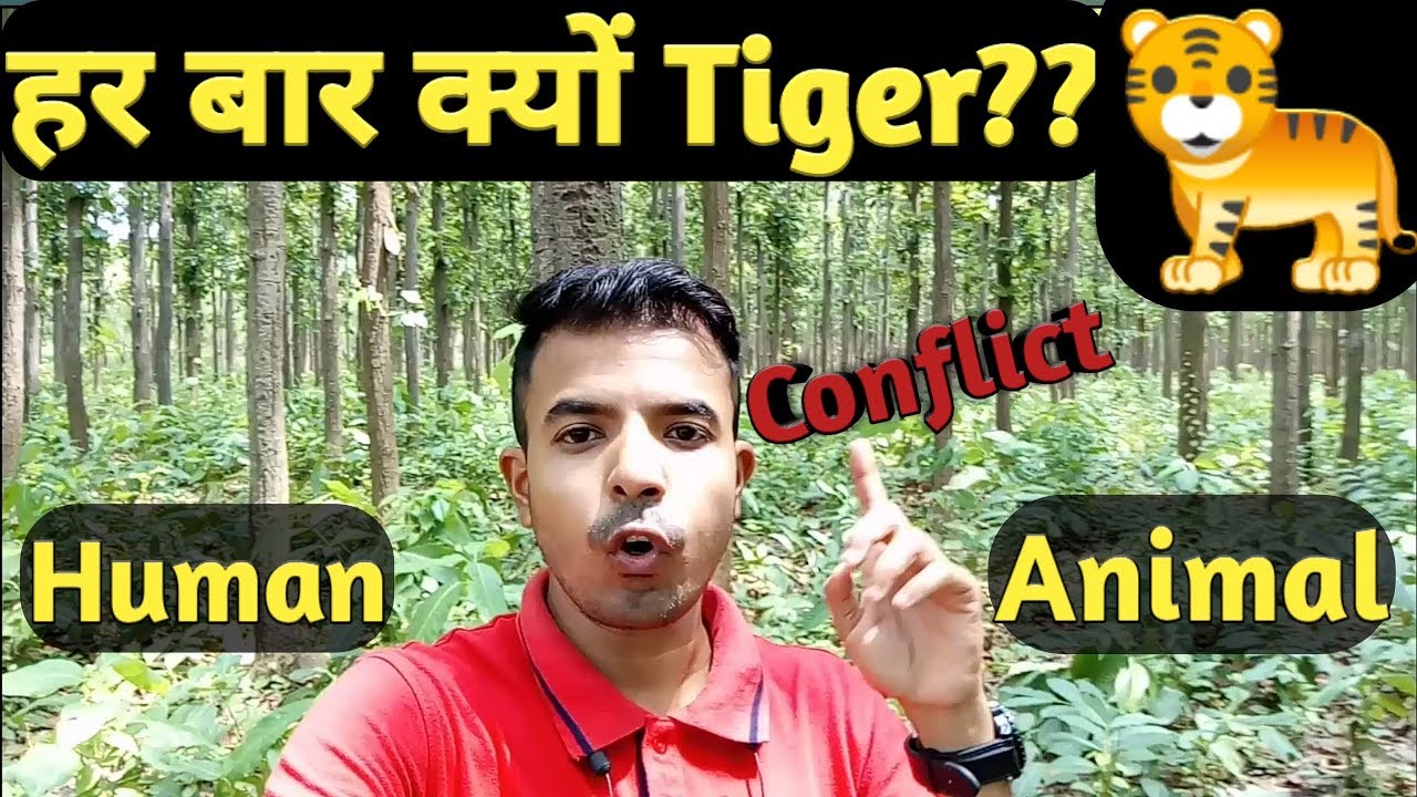 Tiger vs Human in India. Human Animal Conflict. - YouTube
