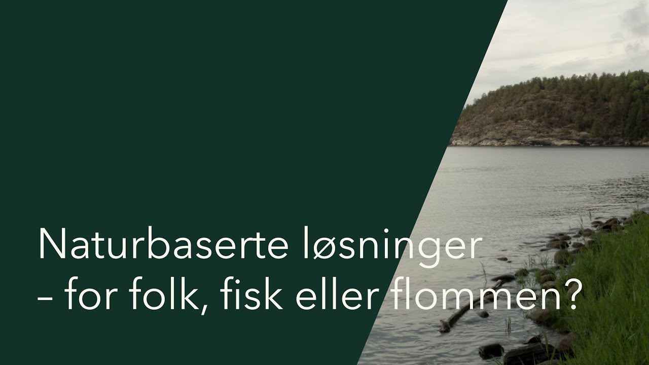 Naturbaserte løsninger – for folk, fisk eller flommen? - YouTube