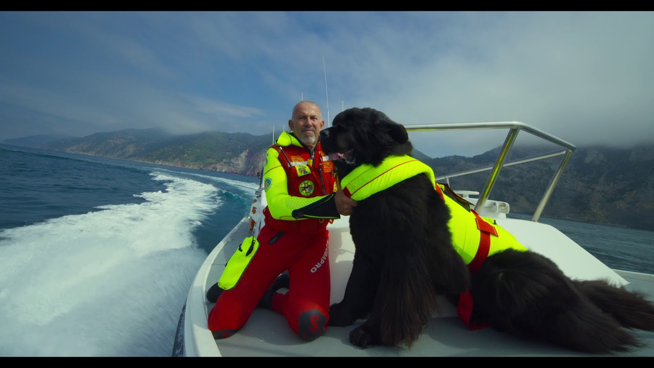 Superpower Dogs Official Trailer - YouTube