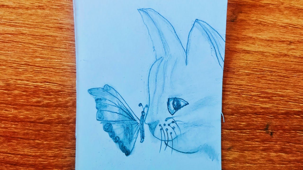how to draw cat and butterfly 🦋 droing step by step - YouTube