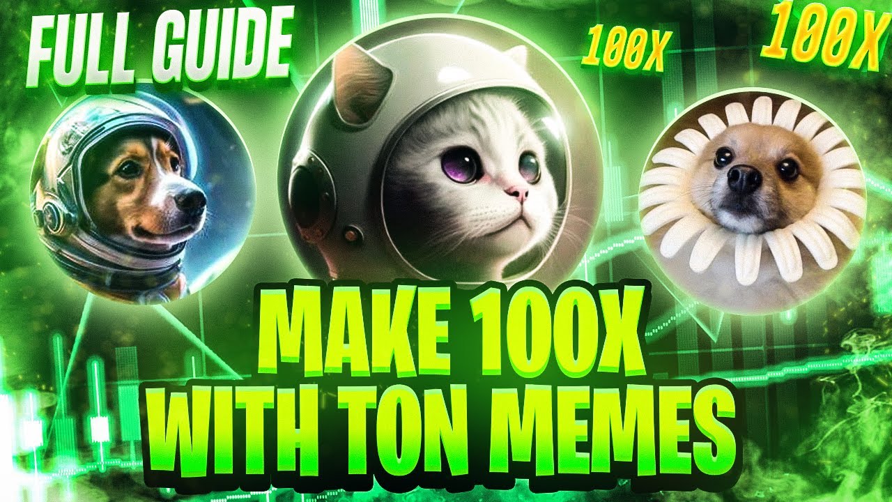 TRADE TON MEMES USING BOTS (FULL GUIDE) - YouTube