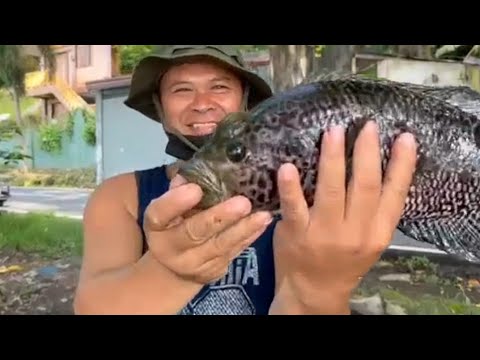 SAMPALOK LAKE ll SAN PABLO LAGUNA ll FISHING JAGUAR FISH - YouTube