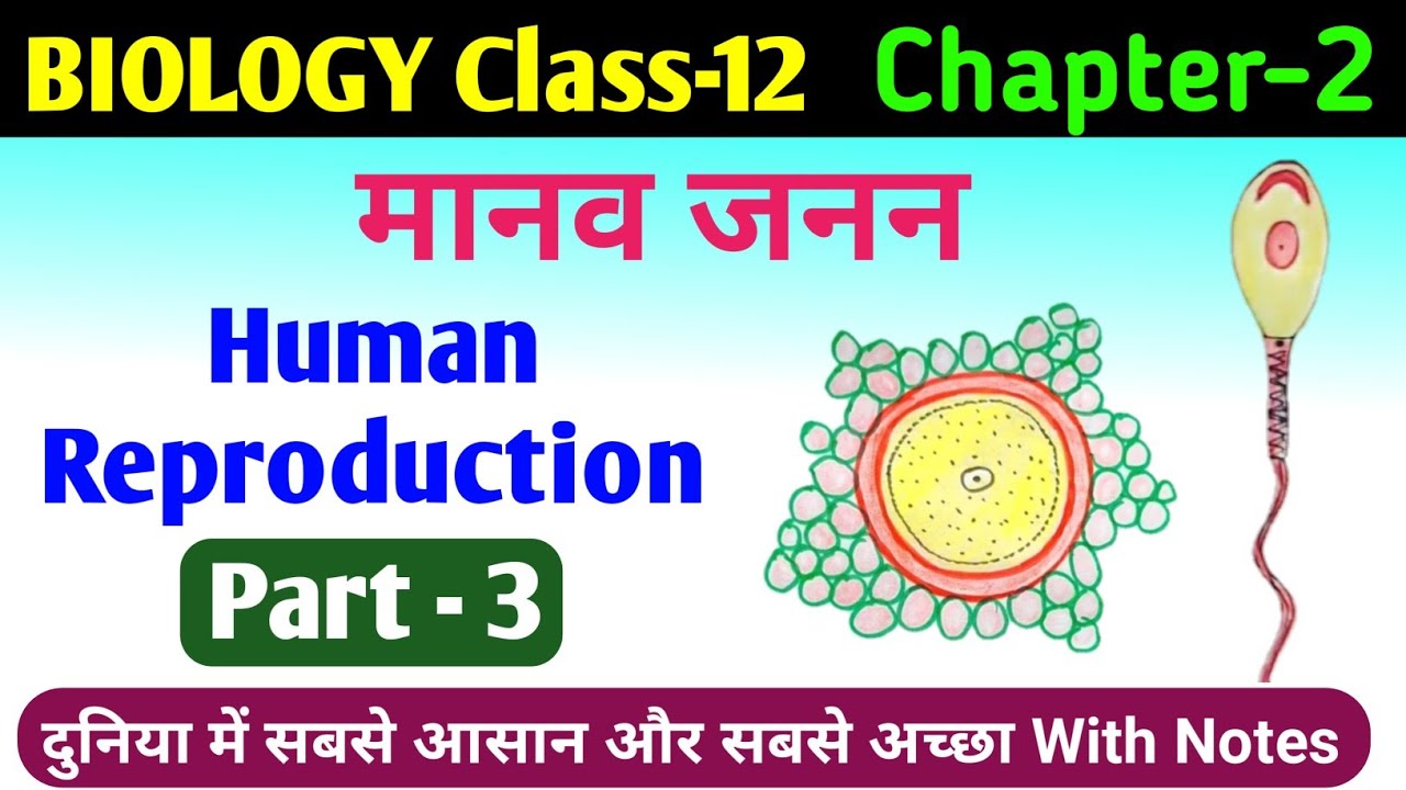 biology class 12 chapter 2 | manav janan class 12th biology | human ...