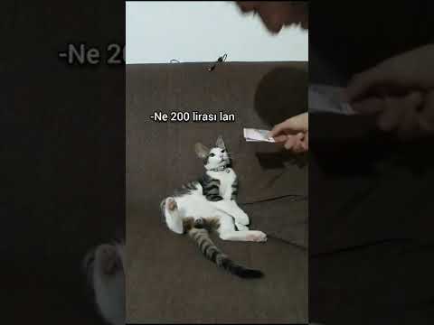 200 Lirasını çaldım arkadaşlar 😂🤣