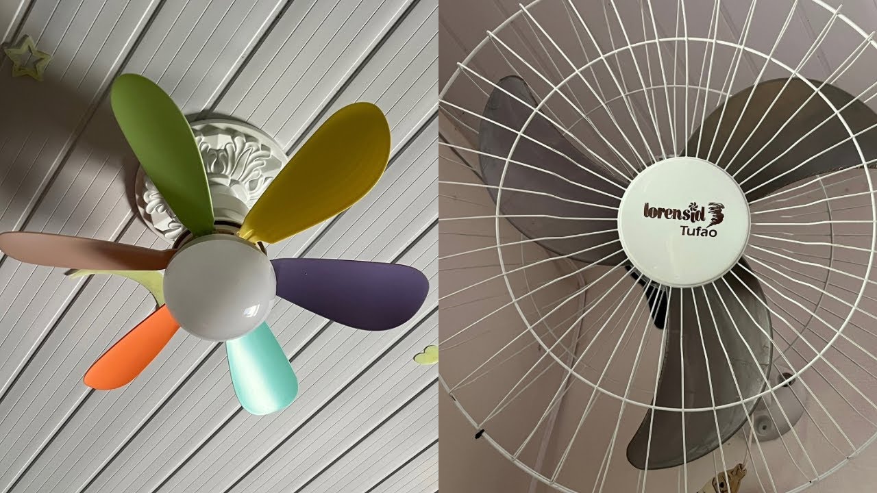 Ventilador de parede Loren Sid Tufão M2 160W e Mini Ventilador de teto Flower Fan Light. - YouTube