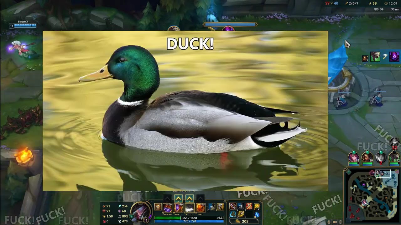 Duck | League of Legends - YouTube