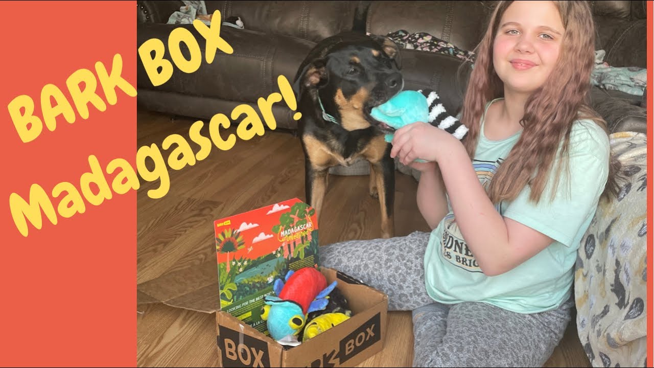 Madagascar BARK BOX! Excited Dog gets his Bark Box! 🐶 - YouTube
