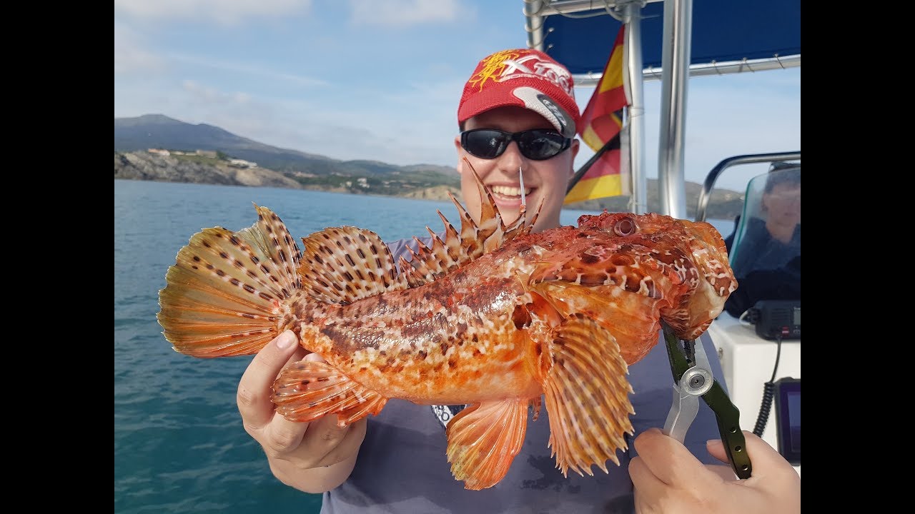 Inchiku Jigging and more in Spain in autumn - YouTube