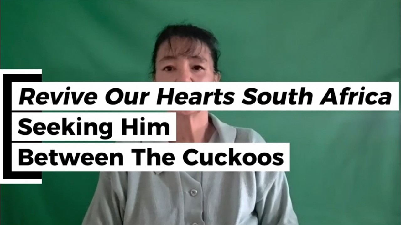 Between the Cuckoos - YouTube