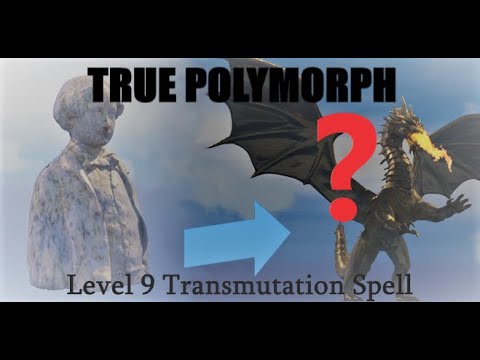 Making sense of the non-sensical spell, True Polymorph! (D&D Talk #3 ...