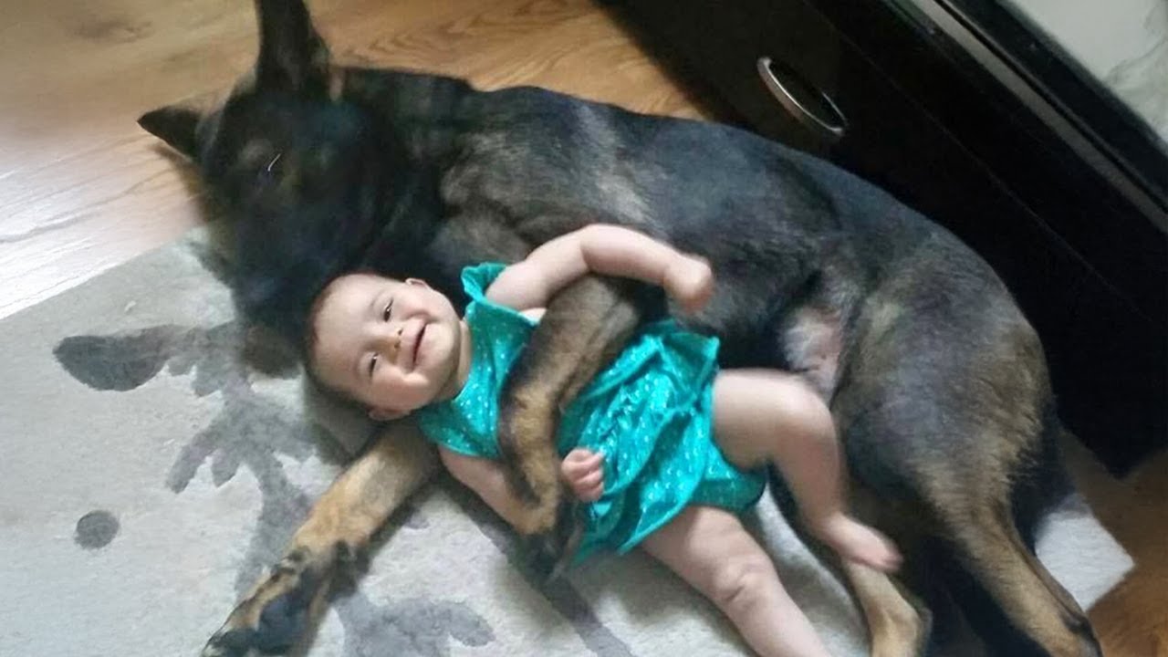 Cute Dogs Grow Up With Baby And They Do Everything Together - YouTube