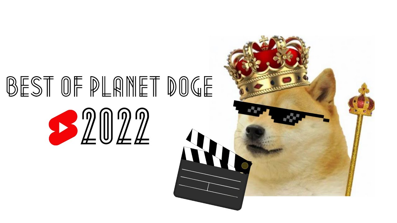Best of Planet Doge - 2022 Compilation #2022inshort - YouTube