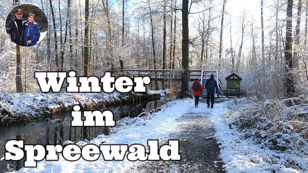 Winter im Spreewald - von Lübbenau zur Wotschofska - YouTube