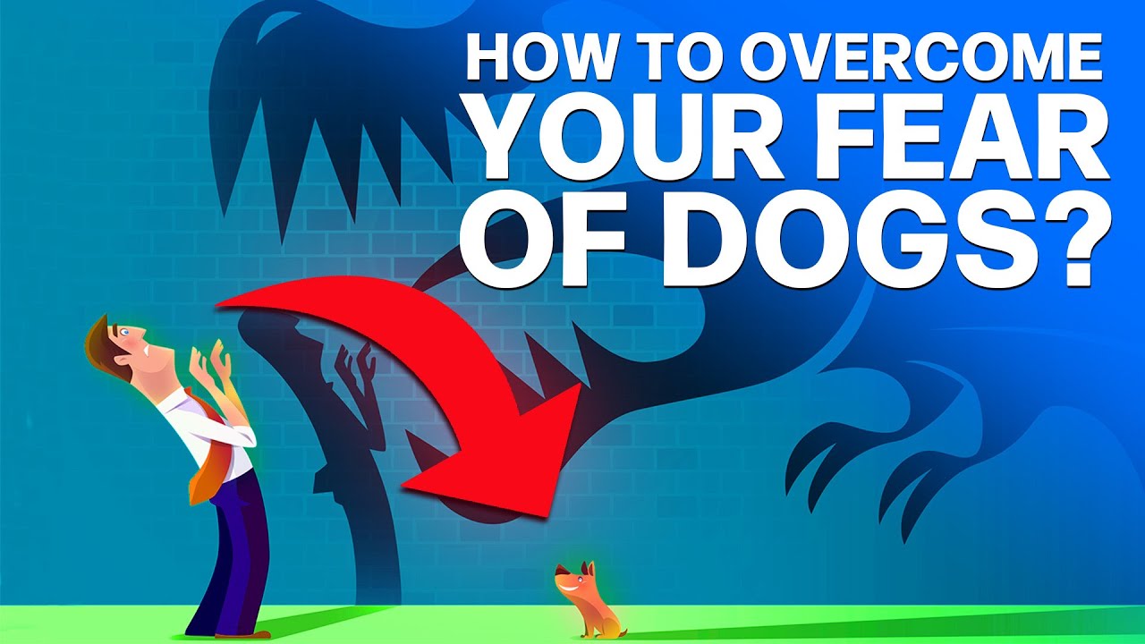 How To OVERCOME Your FEAR Of Dogs - YouTube
