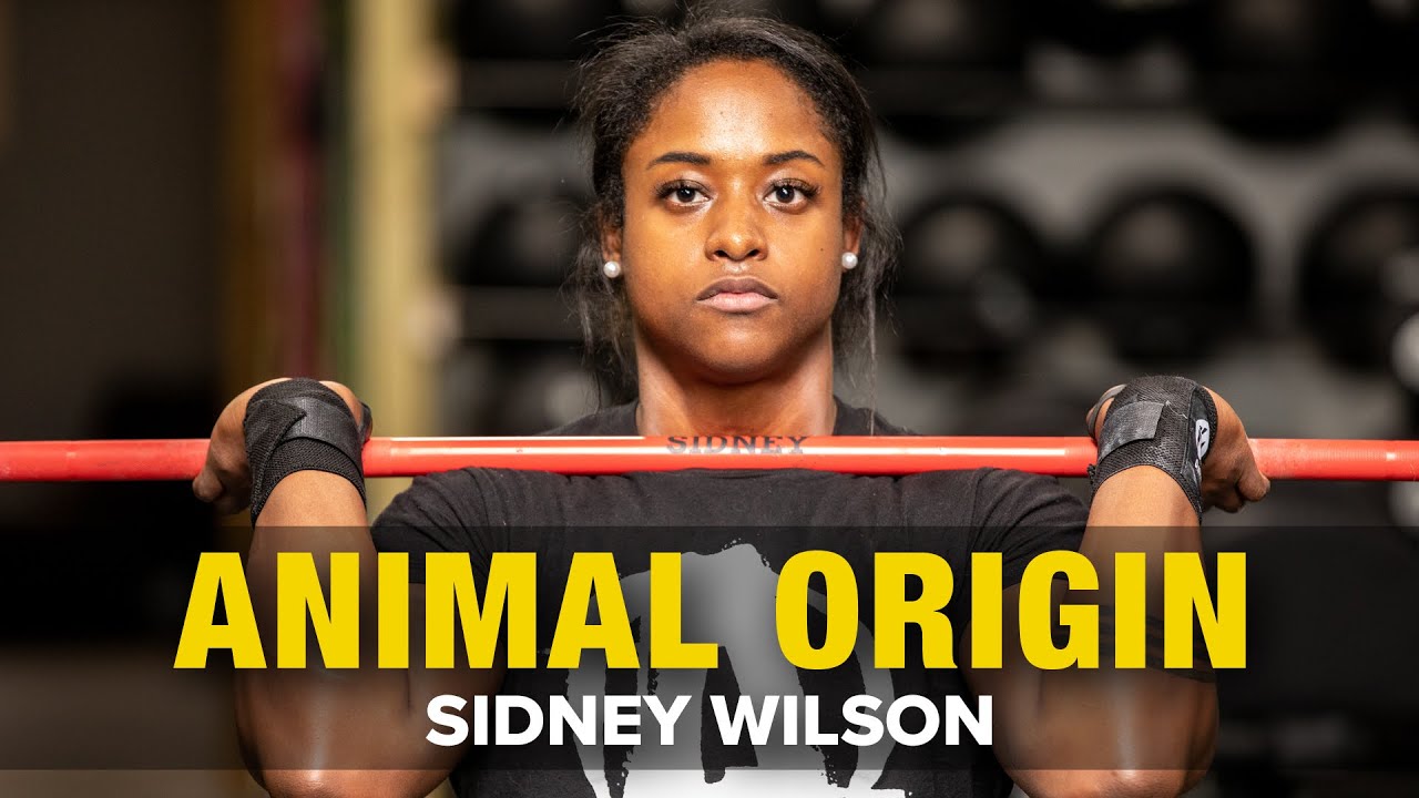 Animal Origin | Sidney Wilson - YouTube