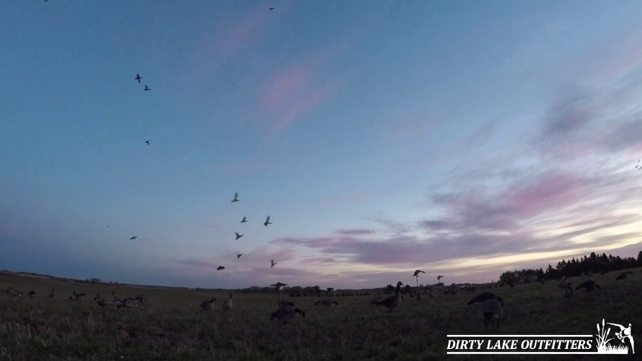 Manitoba Duck Hunting - YouTube