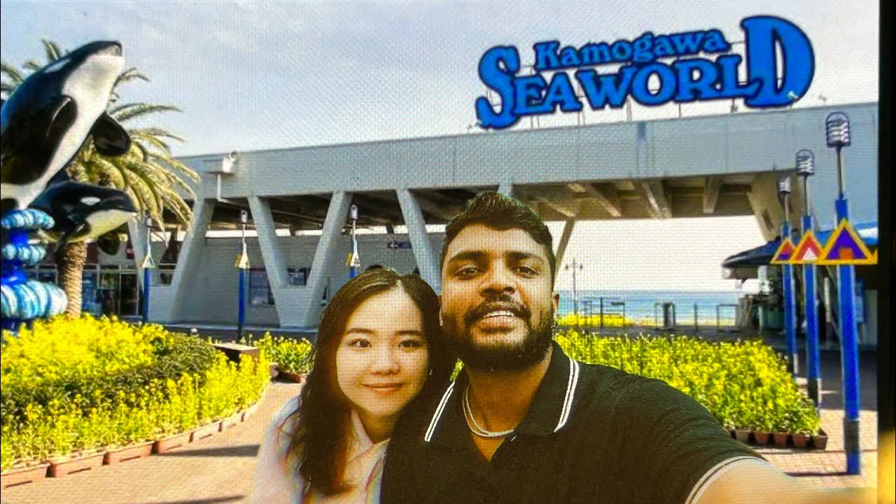Kamogawa seaworld 🐳🐠 aquarium in japan - YouTube