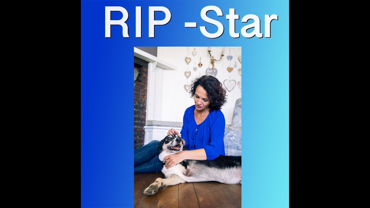 Tribute to Star - RIP🩵 - YouTube