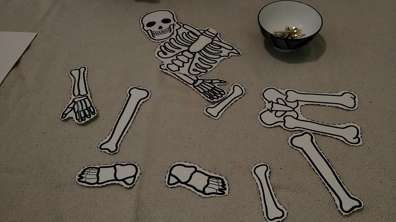 Skeleton Puzzle - YouTube