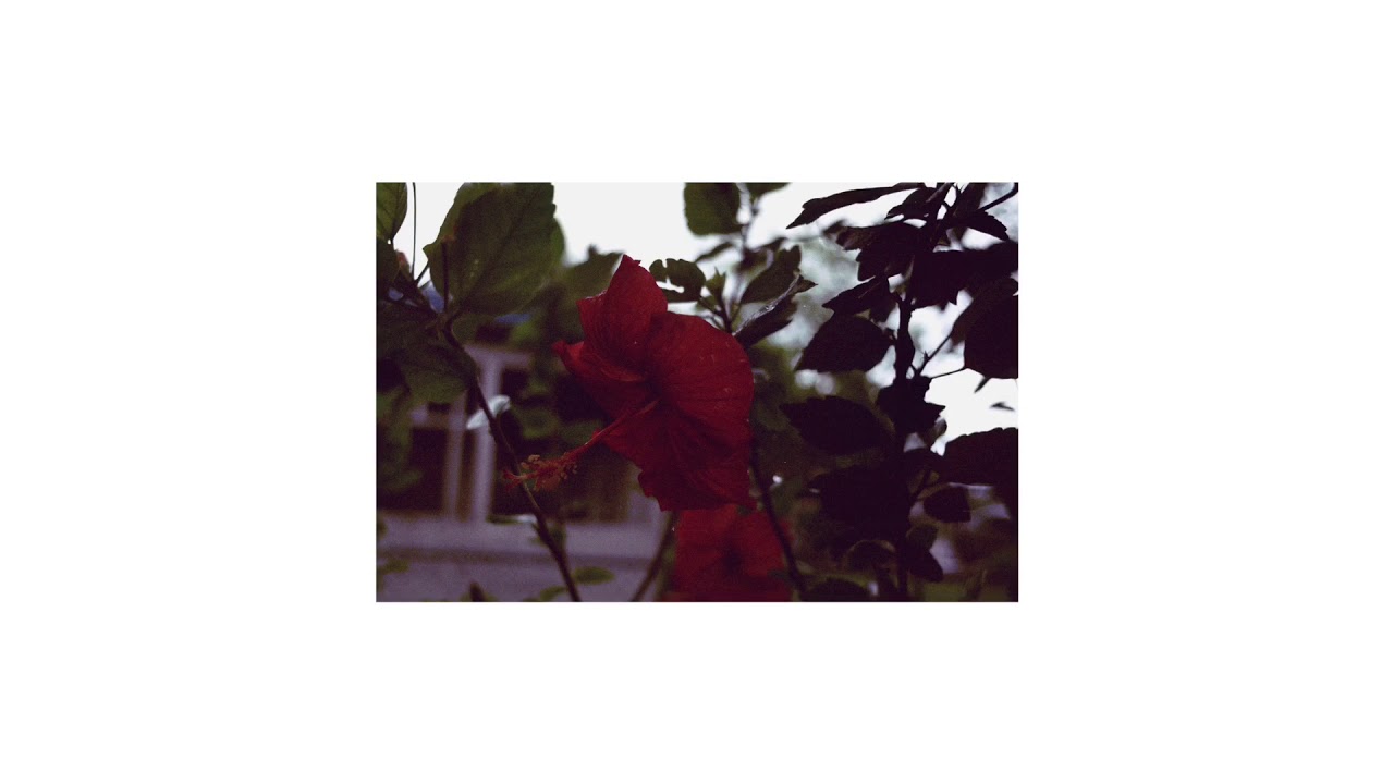 Nikon Em Sample Photos - YouTube