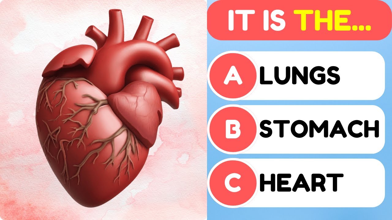How Well Do You Know Your Body? | 30 Questions 🧠👣 - YouTube